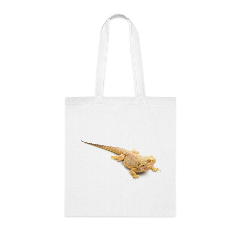 Bearded Dragon Gifts - 60+ Gift Ideas for 2024