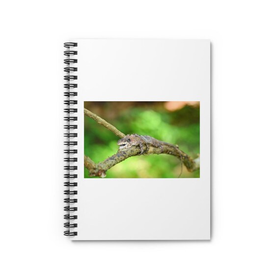 Greater Lizard Notebook Greater Lizard Journal Ruled Line - Etsy