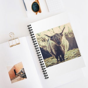 Scottish Highland Cow Notebook Scottish Highland Cow Journal - Etsy