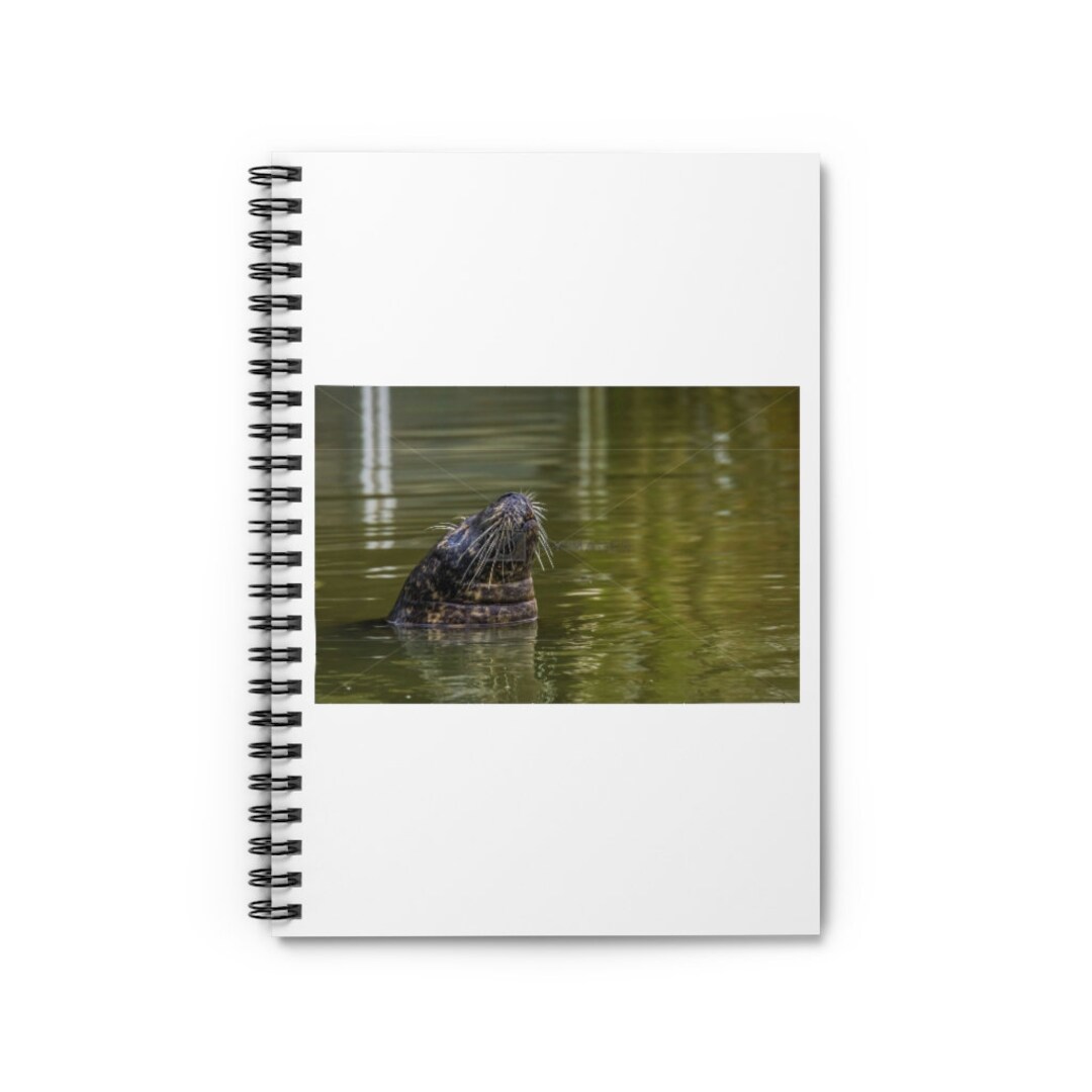 Seal Swimming Notebook Seal Swimming Journal Ruled Line Pages Gift Idea ...