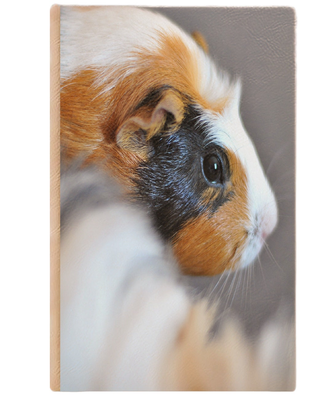 Guinea Pig Notebook, Guinea Pig Journal, Ruled Line Pages, Gift Idea ...