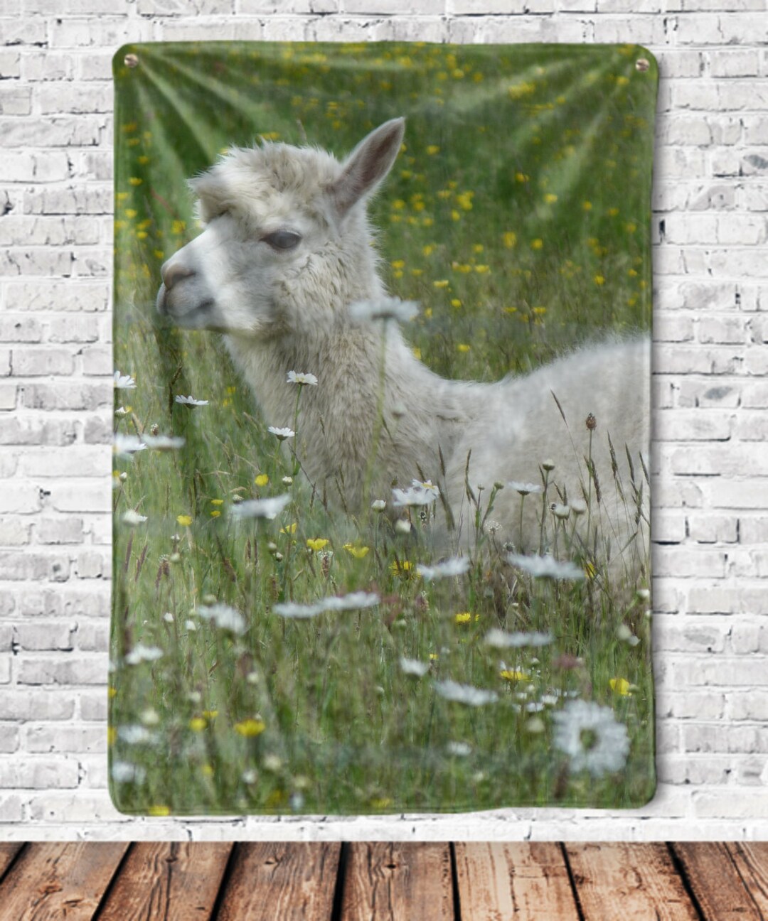 Alpaca Blanket, Alpaca Fleece, Alpaca Gifts - Etsy