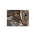 Fishing Cat Canvas, Fishing Cat Wall Canvas Print, Fishing Cat Decor ...