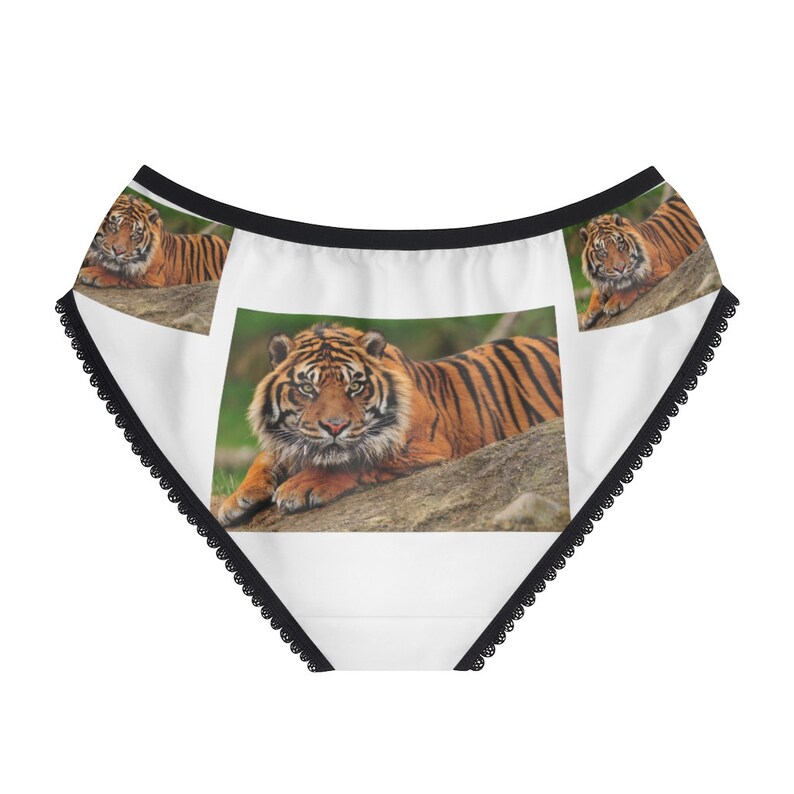 Sumatran Tiger Panties Sumatran Tiger Underwear Briefs | Etsy