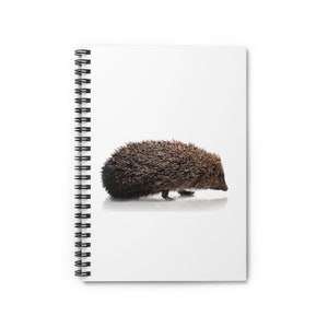 Hedgehog Isolated Notebook Hedgehog Isolated Journal Ruled Line Pages ...