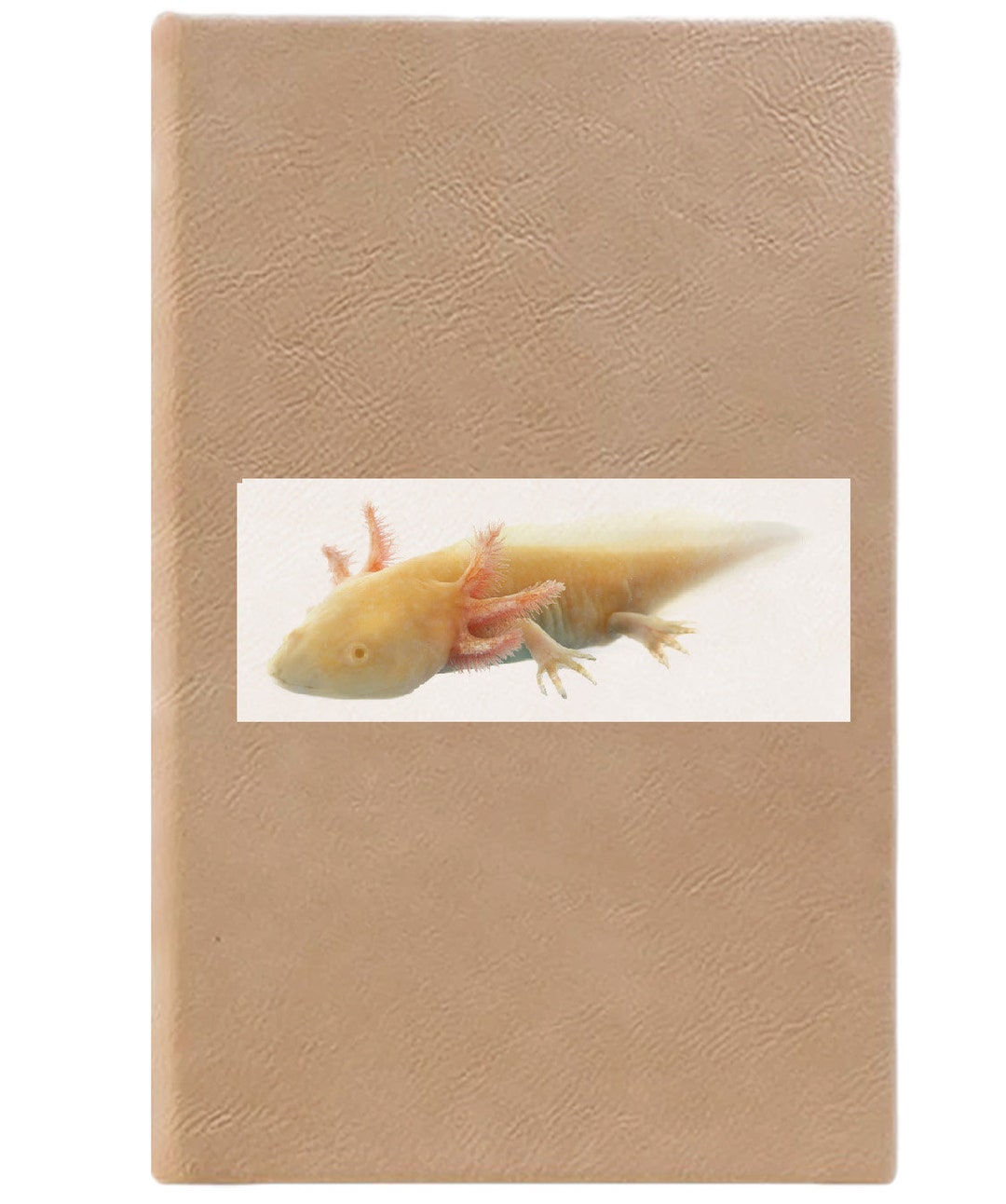 Axolotl Notebook , Axolotl Journal, Ruled Line Pages, Gift Idea ...