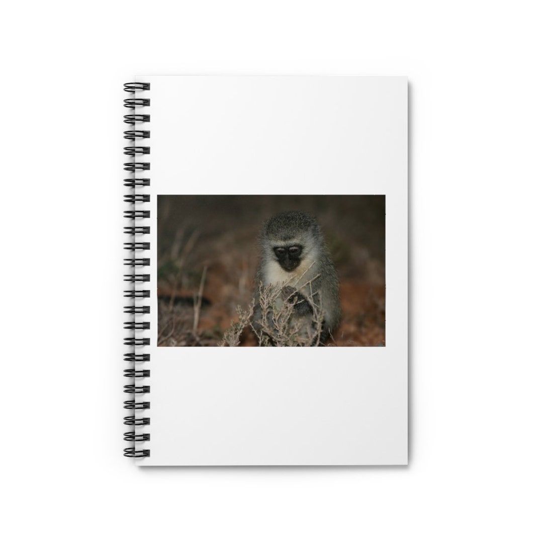 Young Vervet Monkey Foraging Notebook - Young Vervet Monkey Foraging ...