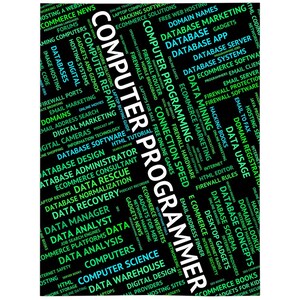 Computer Programmer Blanket, Computer Programmer Lover Gift, Fleece ...