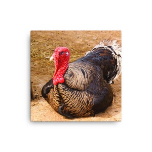 Turkey 3 Canvas, Turkey 3 Wall Canvas Print, Turkey 3 Decor, Portrait ...