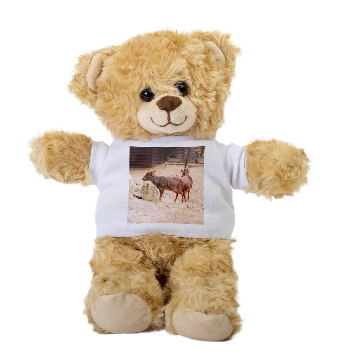 Southern Pudu Scientifically Named Pudu Pudu Teddy Bear, Gift Stuffed ...