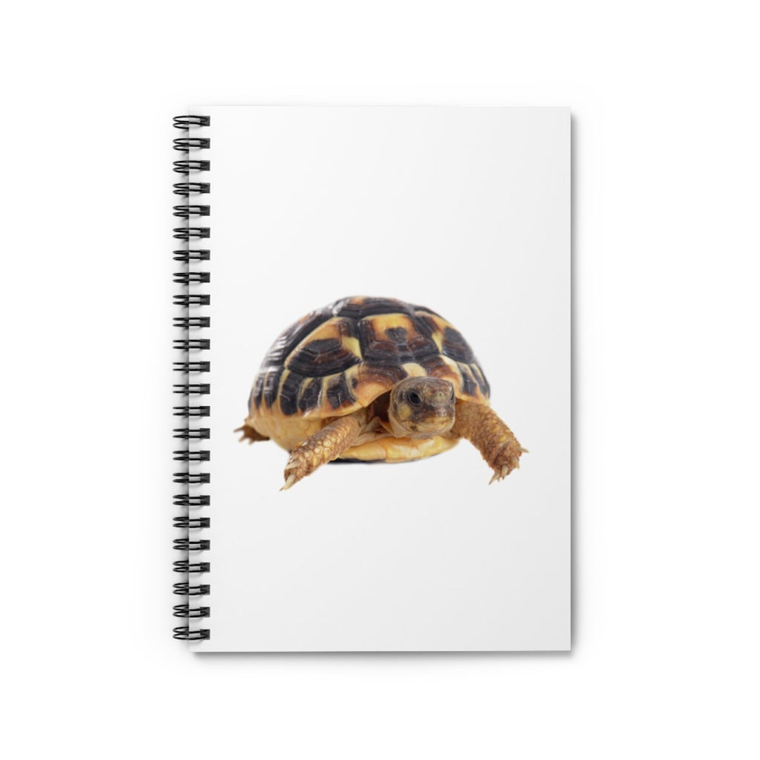 Young Tortoise Notebook - Young Tortoise Journal - Ruled Line Pages ...