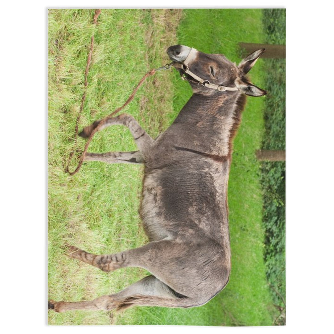 Donkey Blanket, Donkey Lover Gift, Fleece Blanket, Gifts, Personalized ...