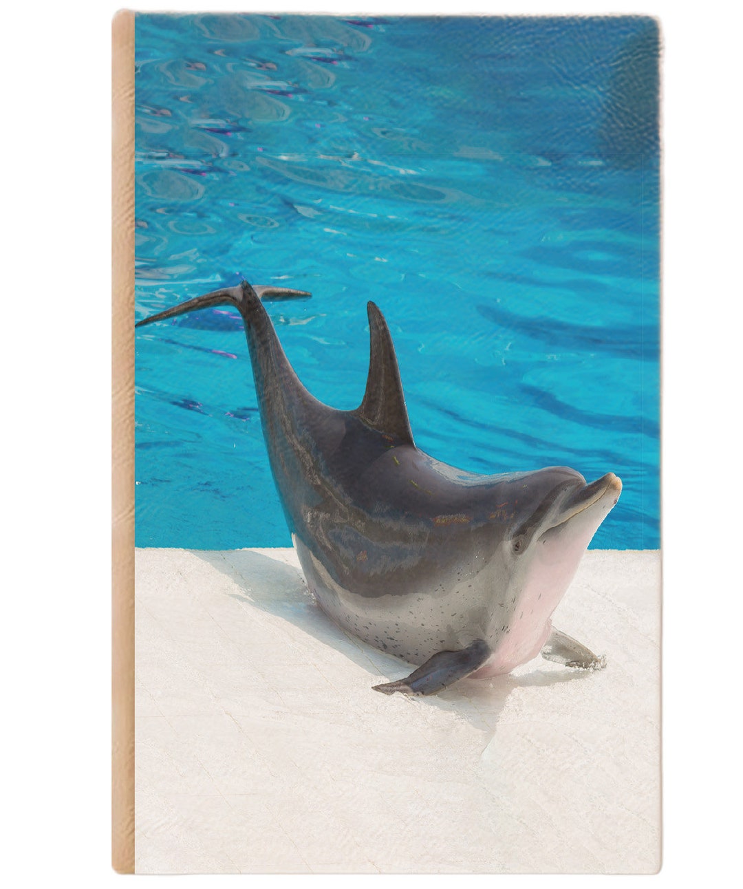 Bottlenose Dolphin Notebook, Dolphin Journal ,ruled Line Pages, Gift ...