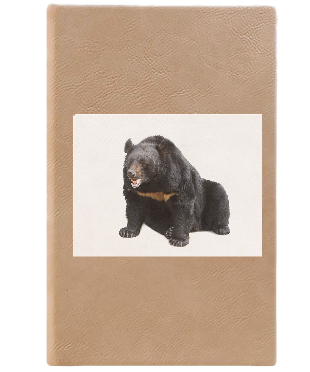 Bear Notebook , Bear Journal ,ruled Line Pages, Gift Idea, Gratitude ...