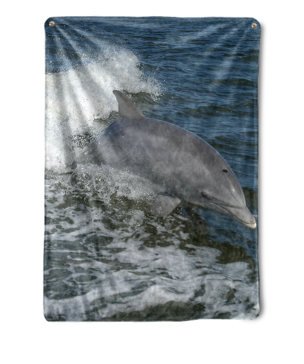 Dolphin Blanket, Dolphin Fleece Throw, Dolphin Gifts - Etsy