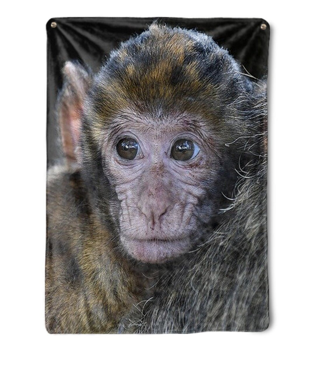 Monkey Personalized Blanket, Gift for Monkey Lover, Monkey Gift Idea - Etsy