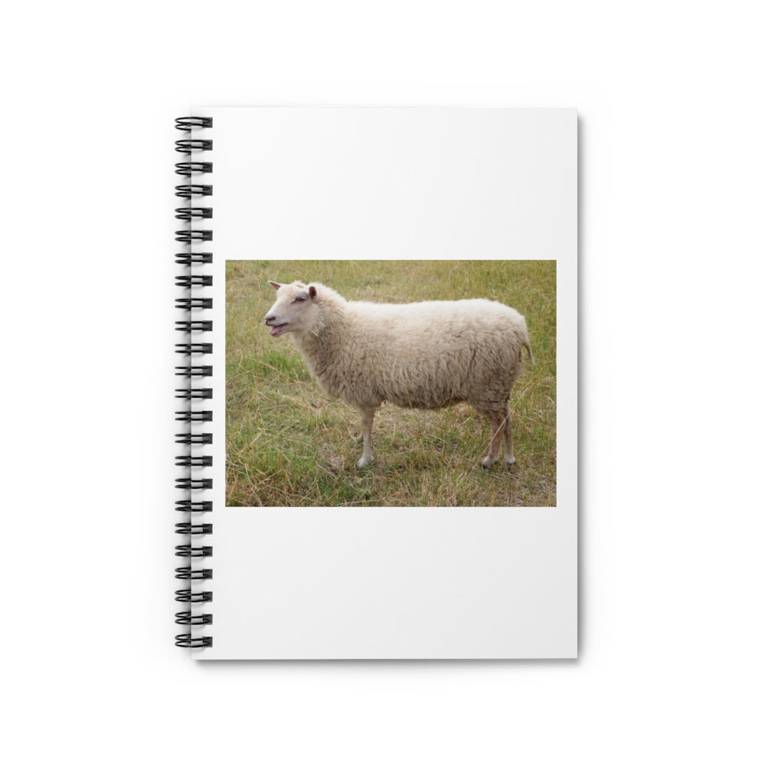 Domestic Sheep Notebook Domestic Sheep Journal Ruled Line - Etsy