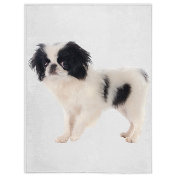 Japanese Chin - Etsy