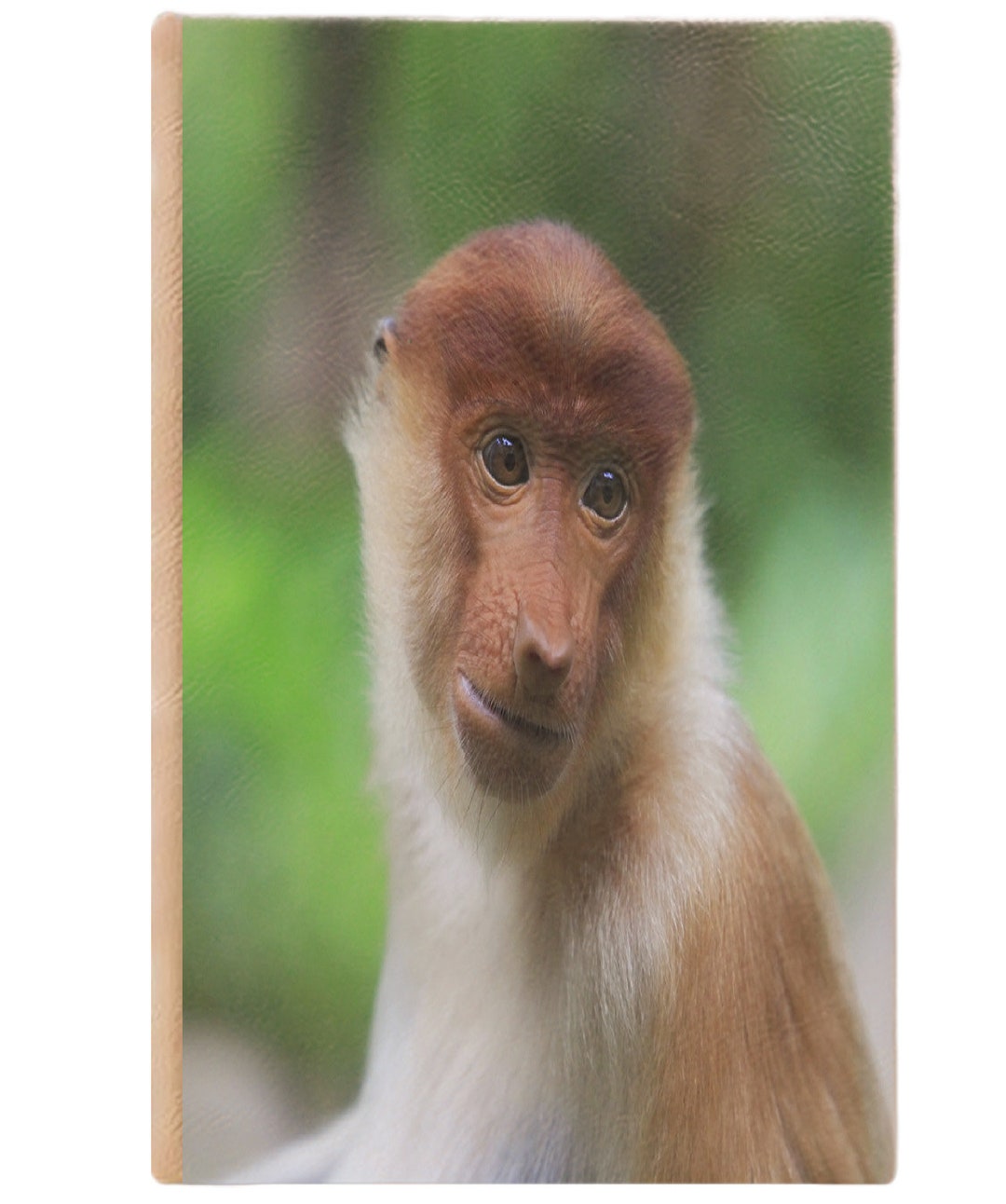 Proboscis Monkey Notebook, Monkey Journal, Ruled Line Pages, Gift Idea ...