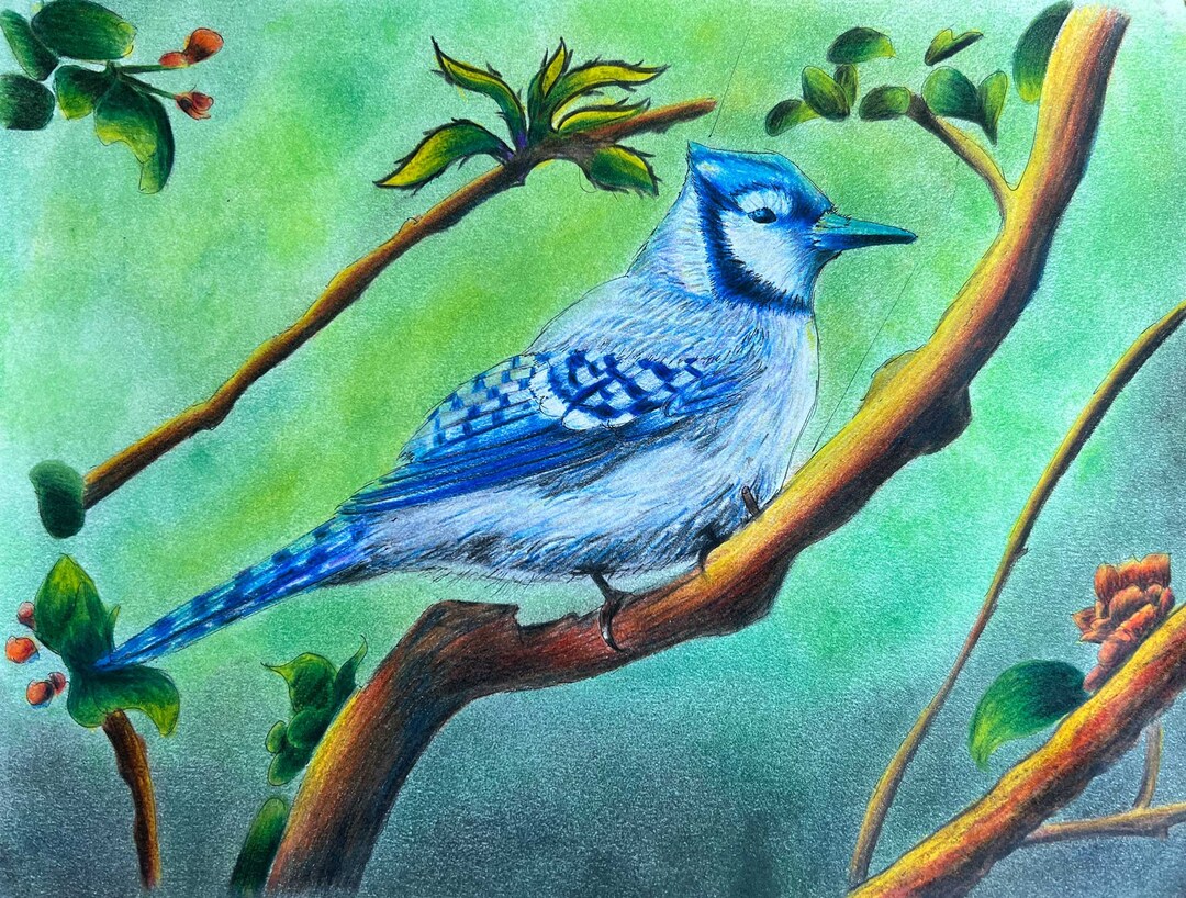 A Blue Bird on a Branch Drawing - Art, Wall Decor, Interior Design ...