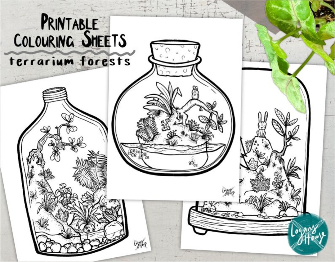 Terrarium Worlds Digital Colouring Pages | Downloadable Files | 3 Sheet ...