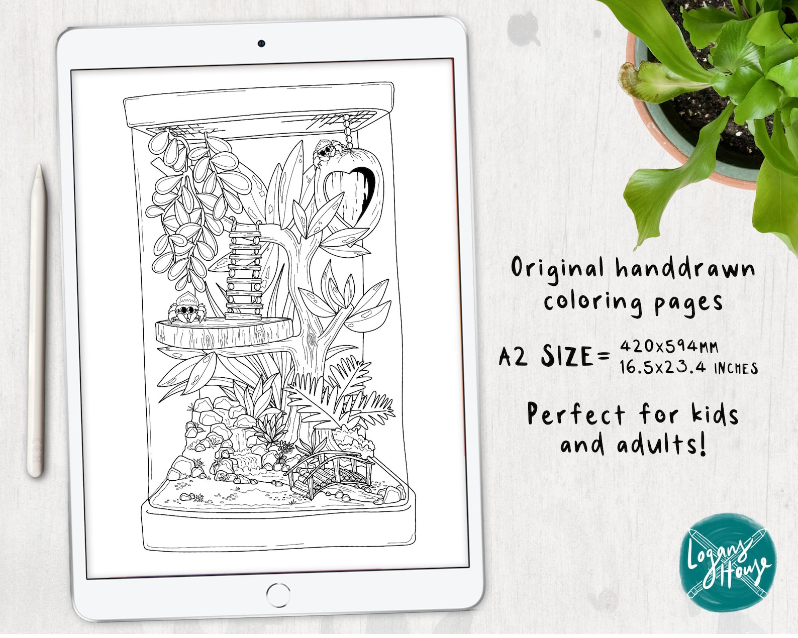 Insect Terrarium Worlds Digital Coloring Pages | Jumping Spider Praying ...