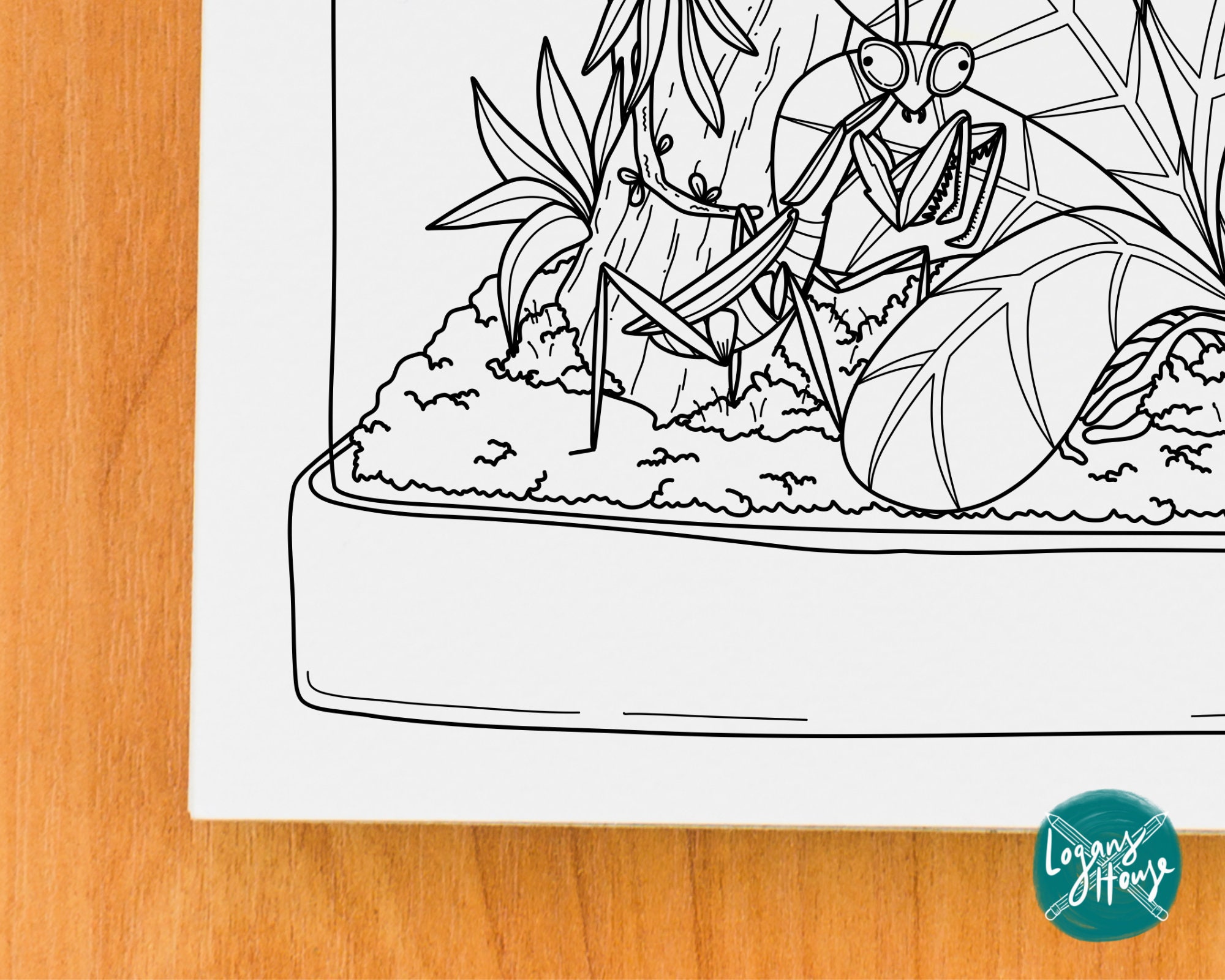 Insect Terrarium Worlds Digital Coloring Pages | Jumping Spider Praying ...
