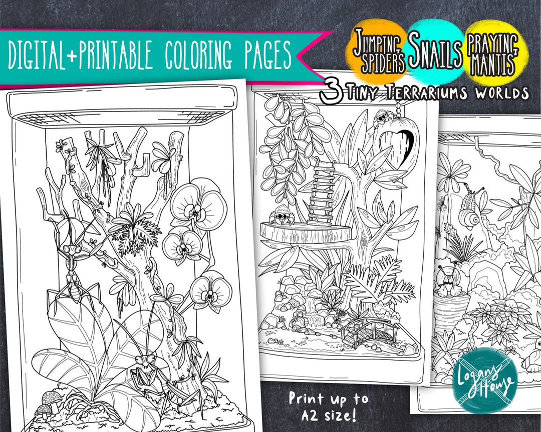 Insect Terrarium Worlds Digital Coloring Pages | Jumping Spider Praying ...