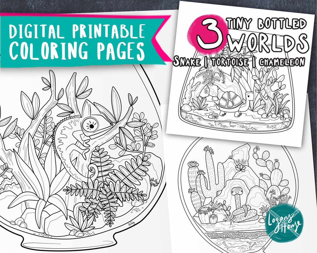 Reptile Terrarium Worlds Digital Colouring Pages | Snake Chameleon ...