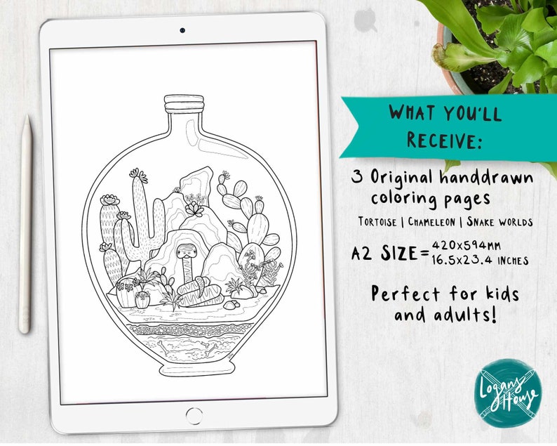 Reptile Terrarium Worlds Digital Colouring Pages | Snake Chameleon ...