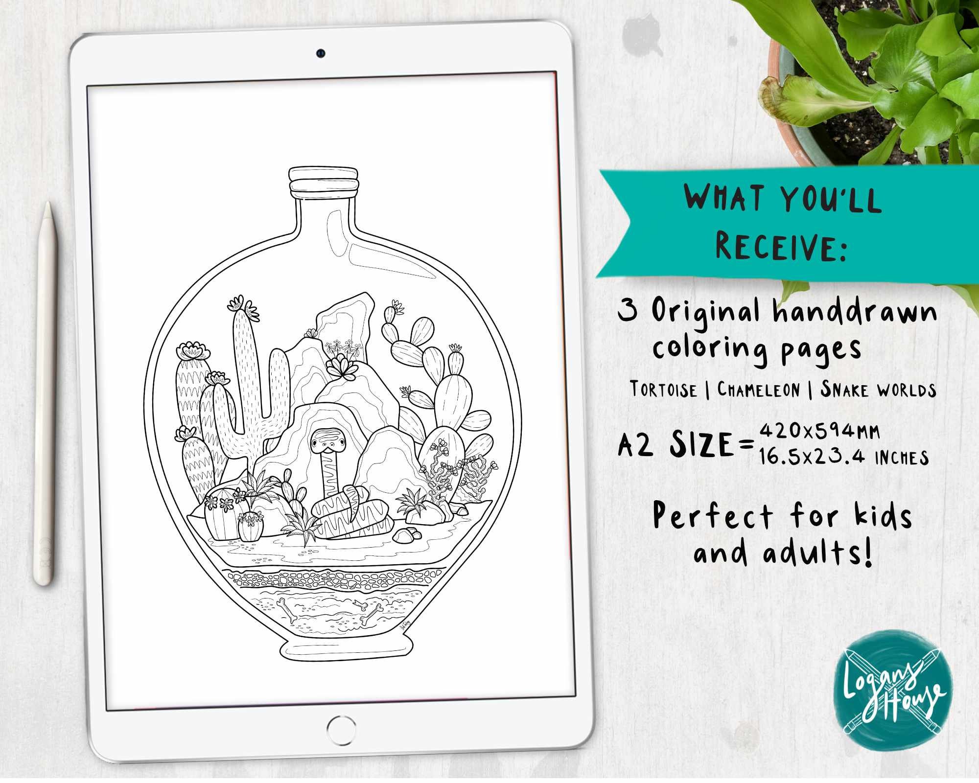 Reptile Terrarium Worlds Digital Colouring Pages | Snake Chameleon ...