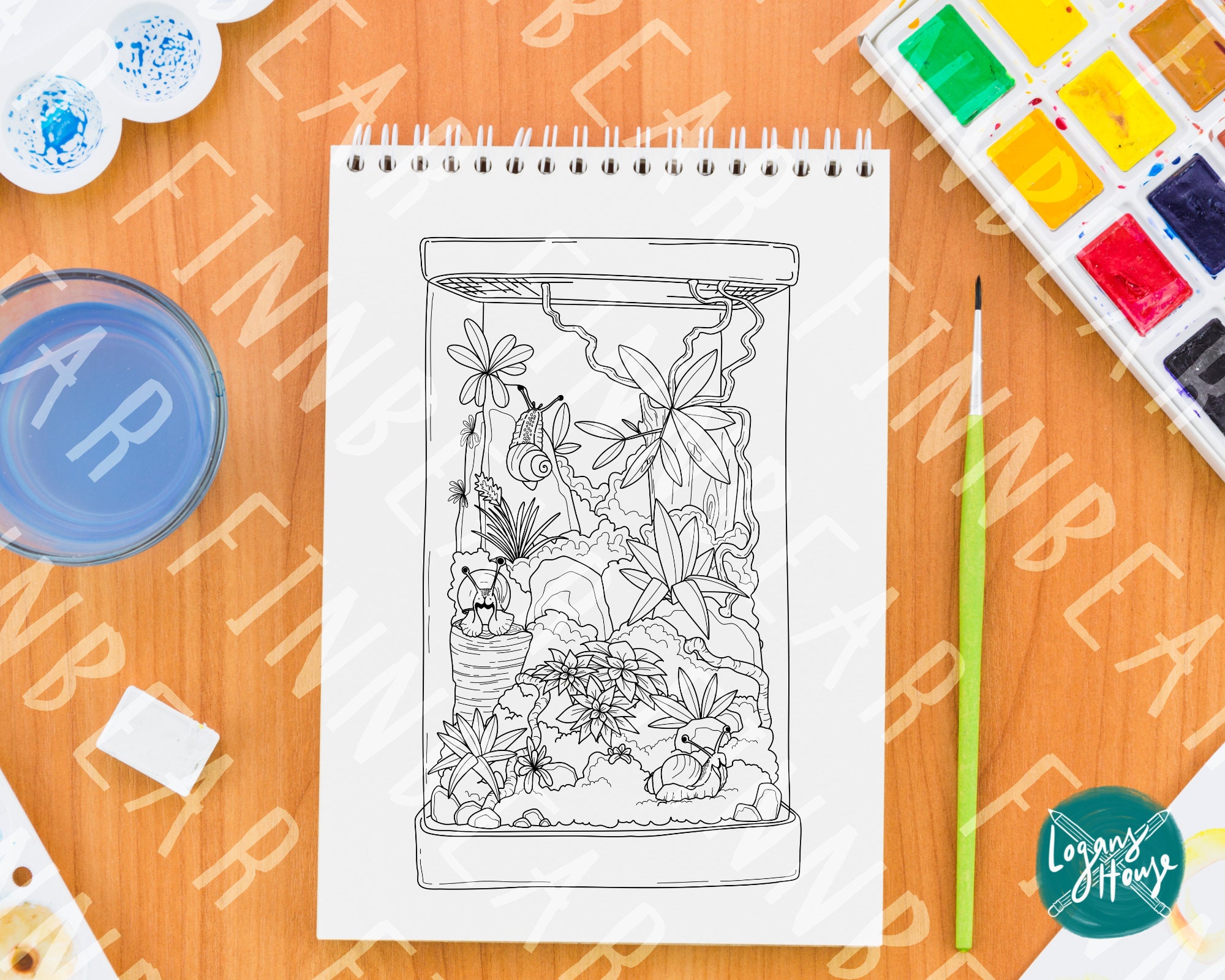 Insect Terrarium Worlds Digital Coloring Pages | Jumping Spider Praying ...