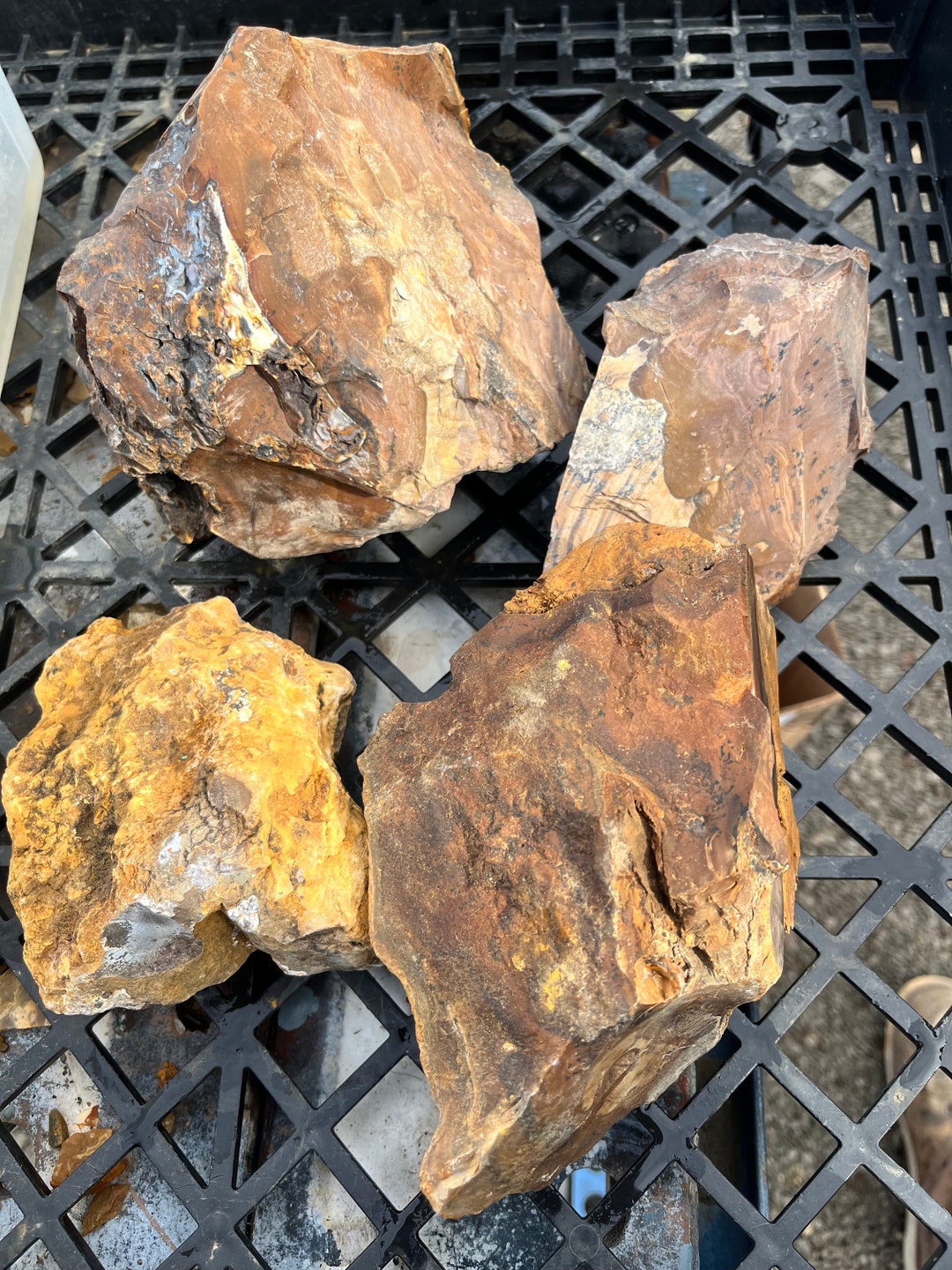 Fantastic Lot of Biggs Jasper From the China Hollow Mine. 14 Pounds ...