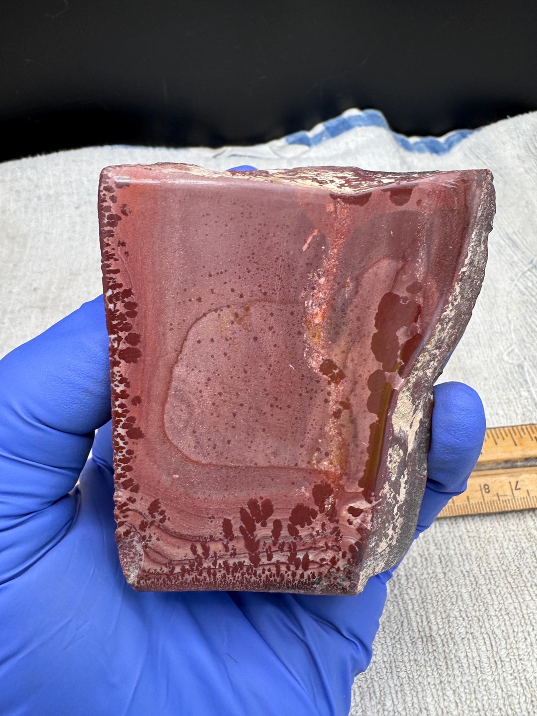 Stunning Apache Canyon Rhyolite Cut Rough. 408 Grams. 1 Piece ...