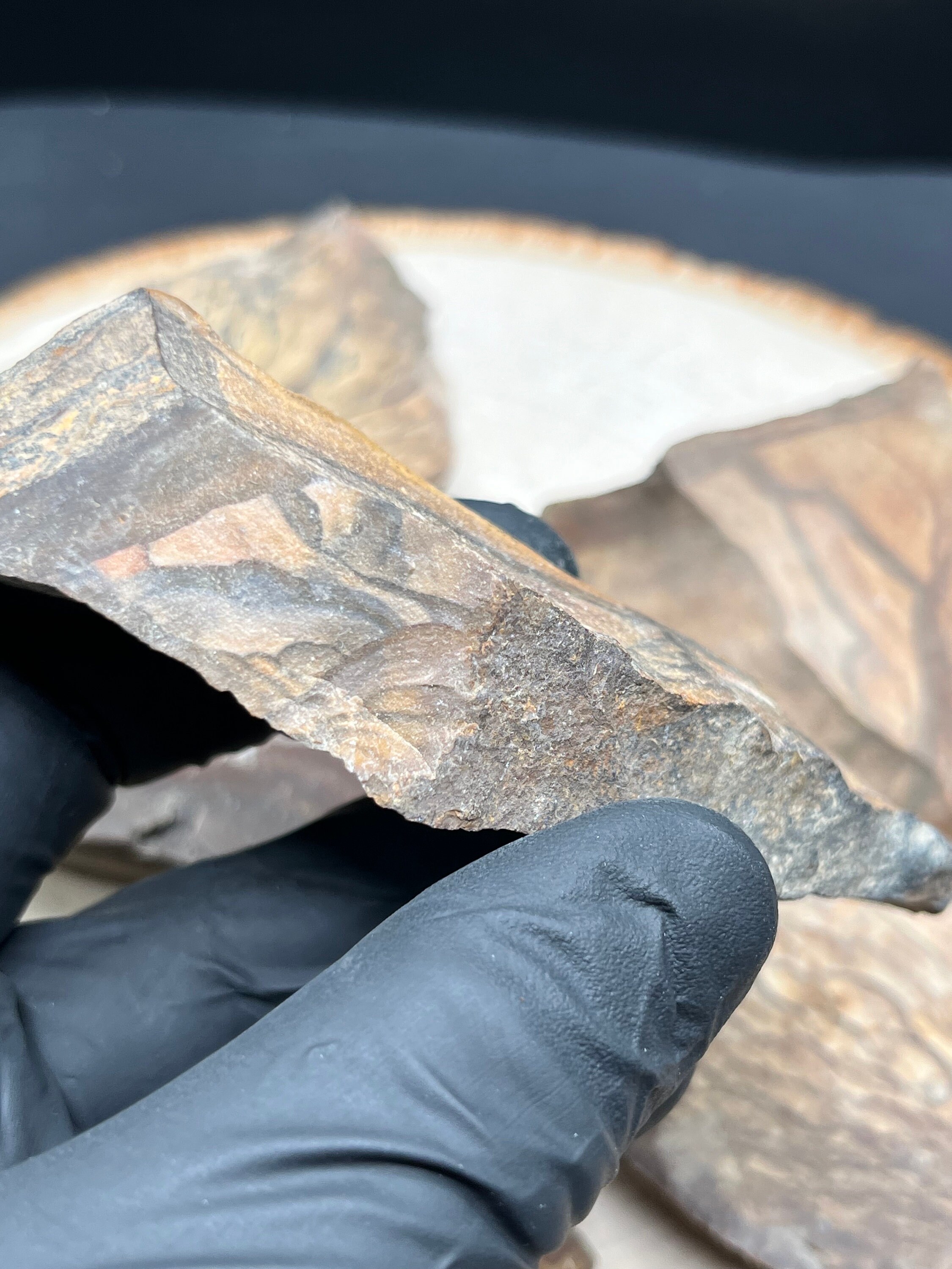 Incredible Old Stock Biggs Jasper Small Rough and Tumbles. 689 Grams. 6 ...