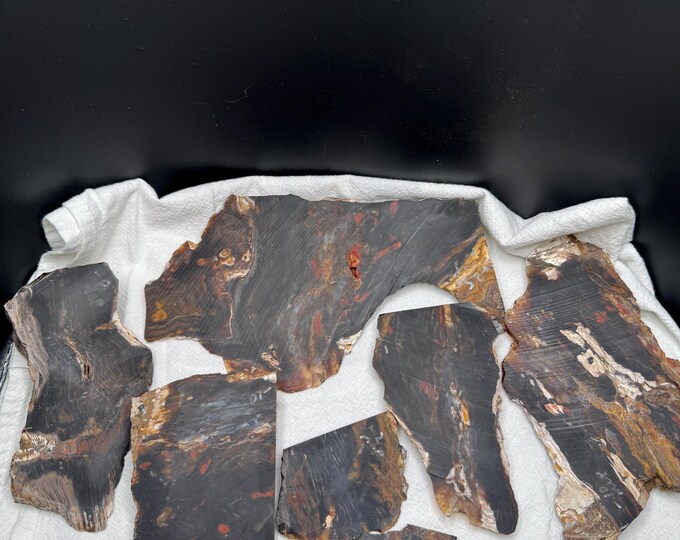 New Material! Biggs Flame Jasper! End Cut Lot Including 7 Pieces. 2.5 ...