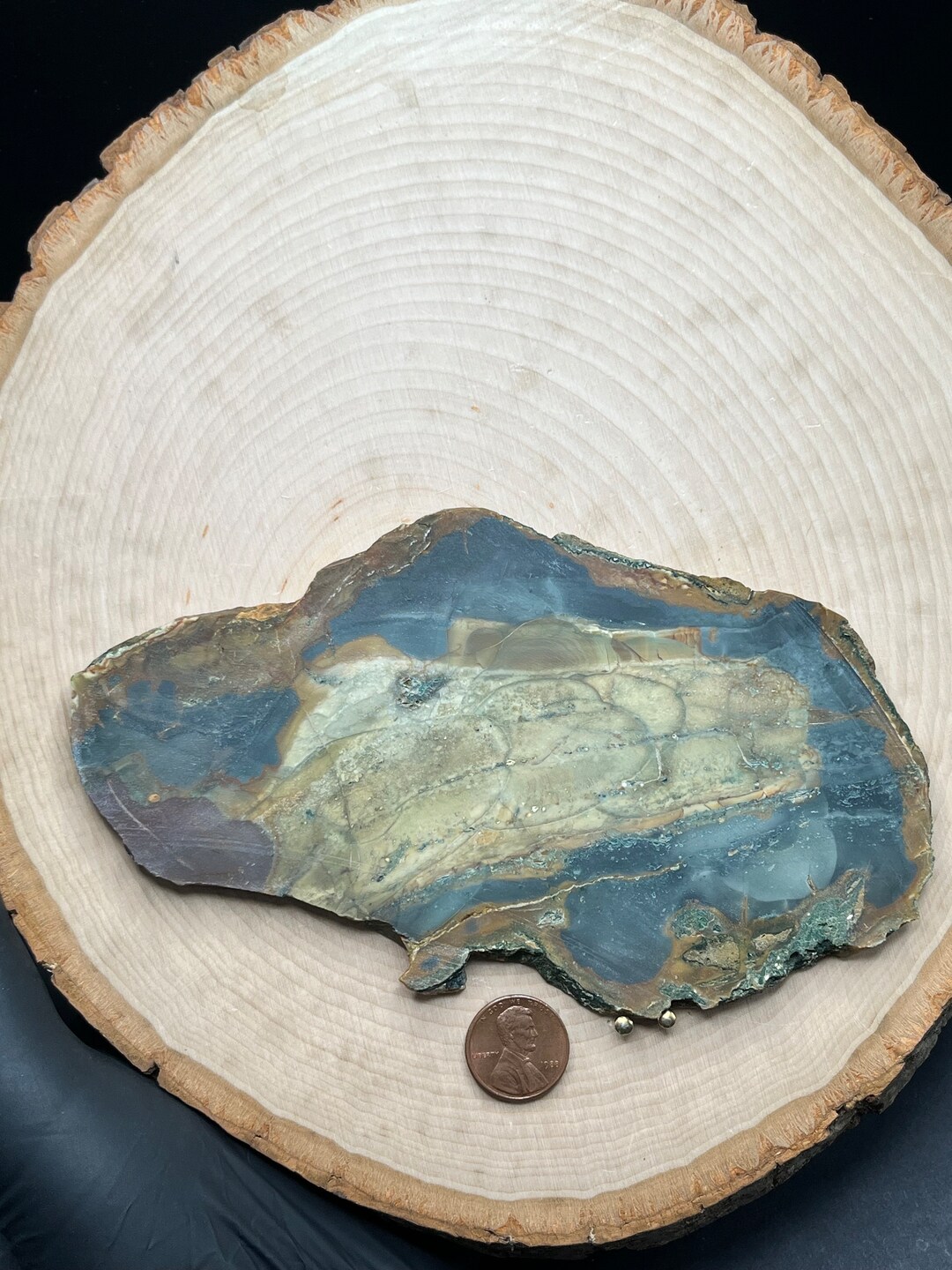 Fantastic Blue Mountain Jasper Slab. 164 Grams. 6” X 3.5” X 7mm. Great ...