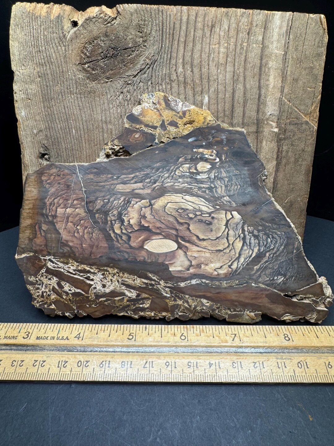 Great Biggs Jasper Slab. Rough Slab. Great for Cabochons or Specimen ...