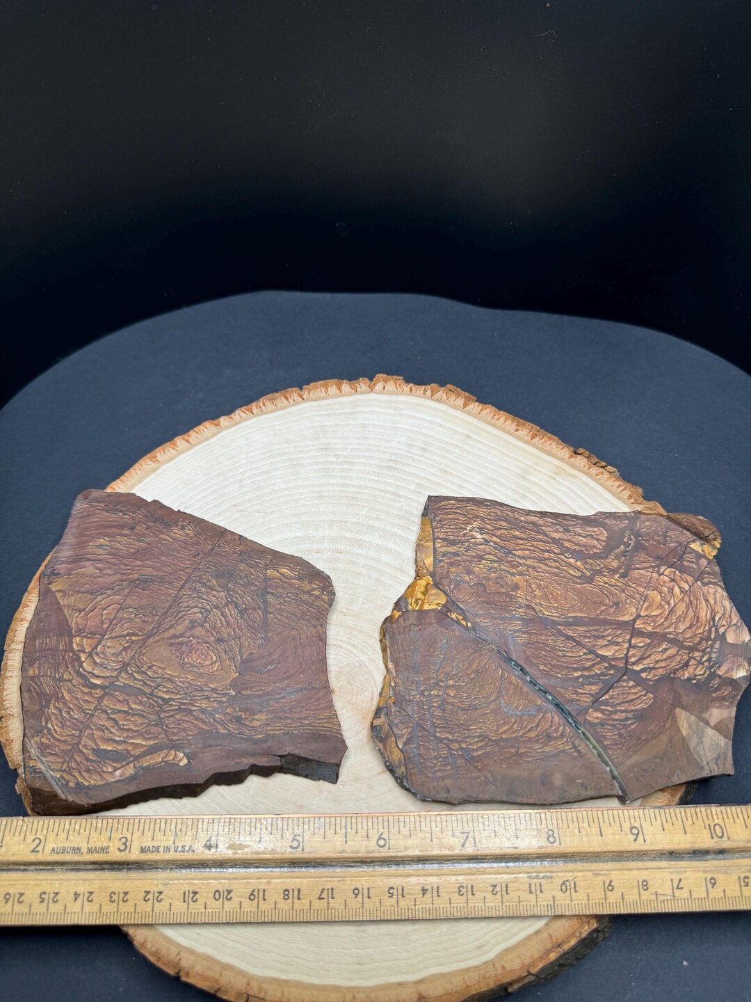 Classic Biggs Jasper Slabs From the Beers Mountain Mine. 2 Slabs. 310 ...