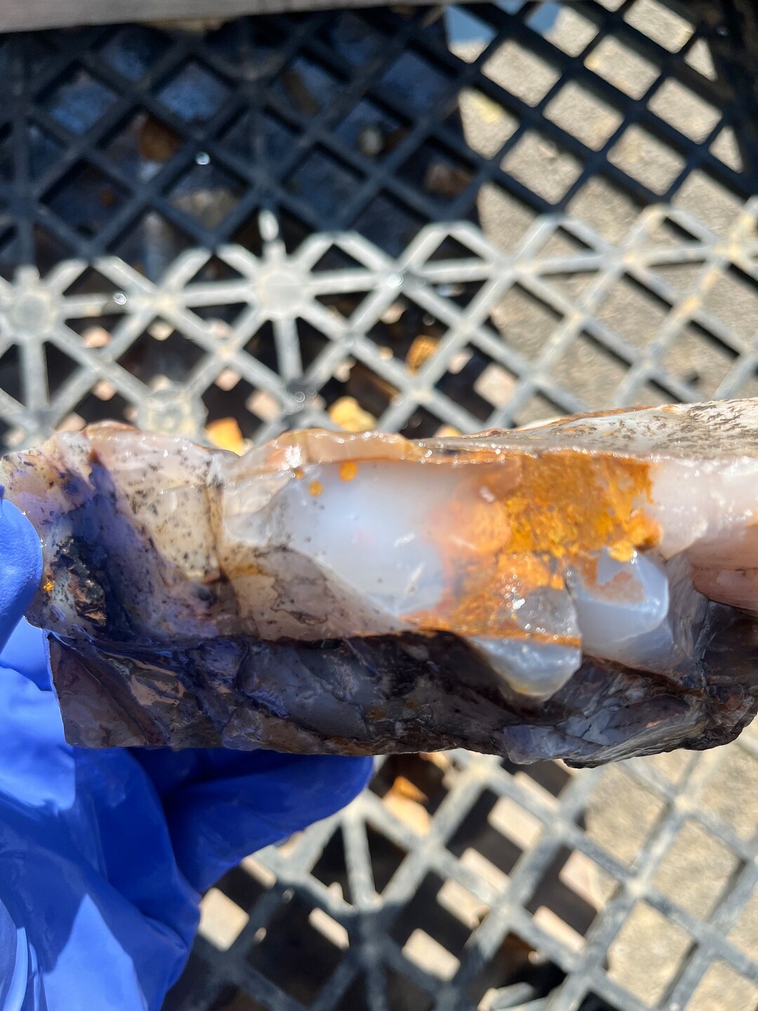 Outstanding Polka Dot Agate Rough. Great Floating Dots. 3.5 Pounds ...