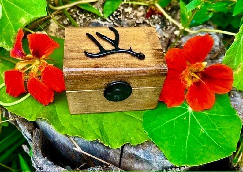 Black Antler Box - Etsy