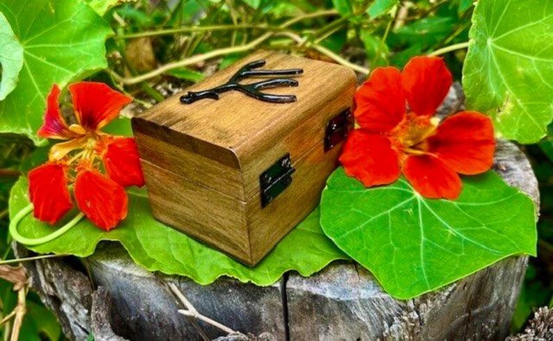 Black Antler Box - Etsy