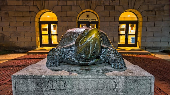 A photo of Testudo University of Maryland Mascot. Add name - Etsy.de