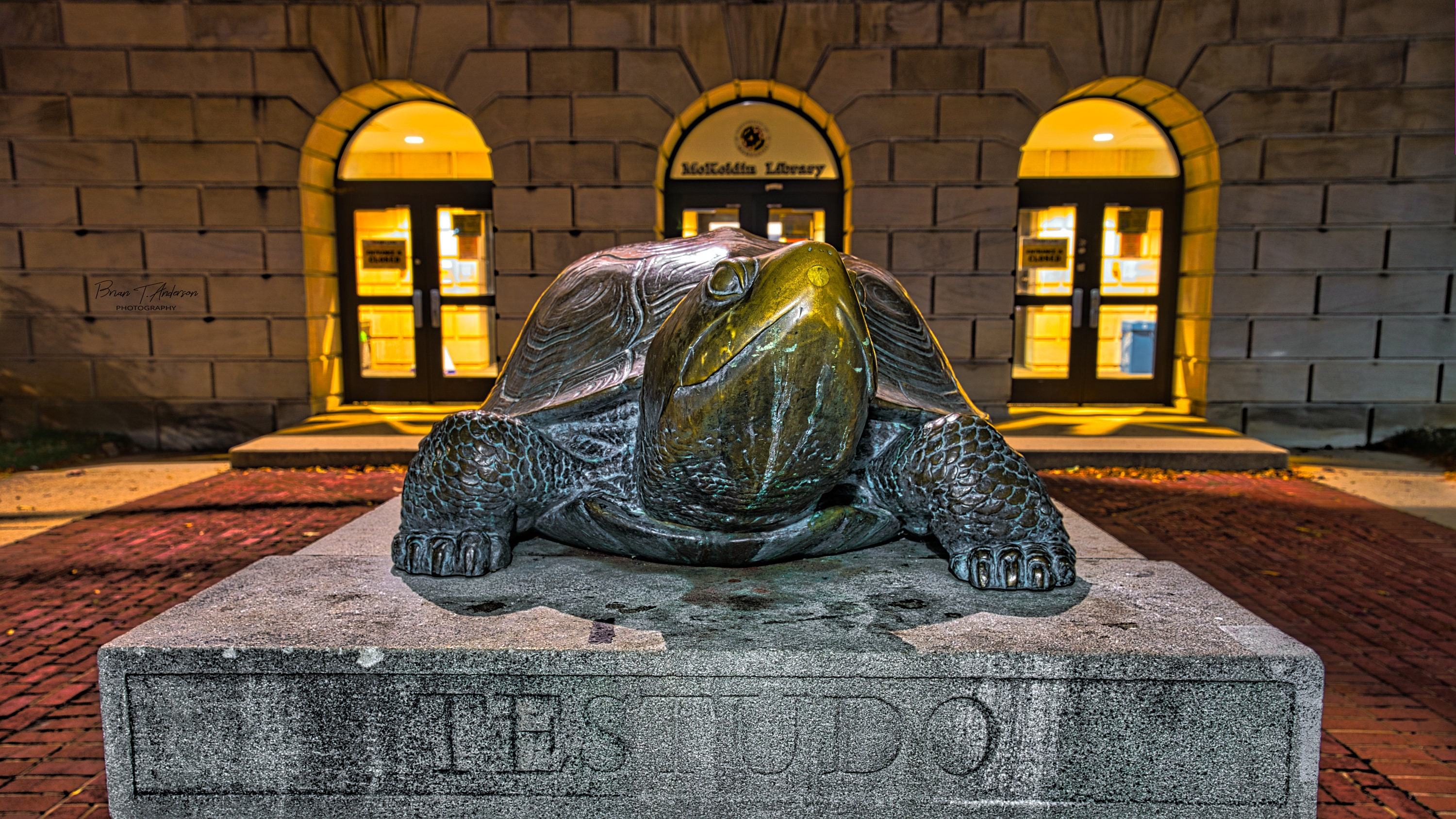 A Photo of Testudo, University of Maryland Mascot. Add Name and Class ...