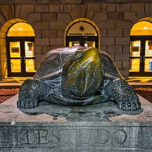 A Photo of Testudo, University of Maryland Mascot. Add Name and Class ...