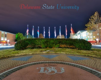 Dsu Pictures - Etsy