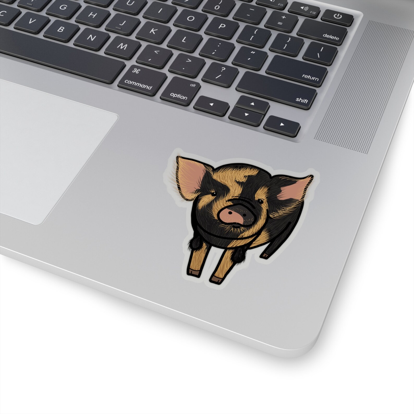 Ranseur the Kunekune Pig Sticker - Etsy