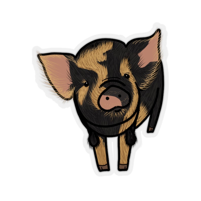 Ranseur the Kunekune Pig Sticker - Etsy