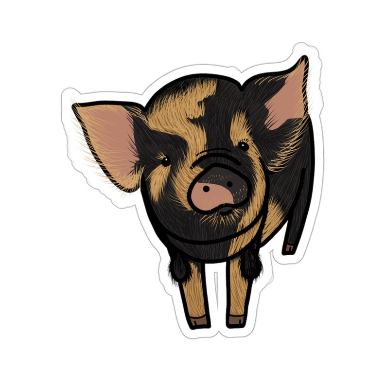 Ranseur the Kunekune Pig Sticker - Etsy