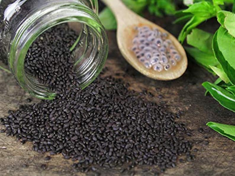 Basil Seeds Sabja Seeds Sabja Beej Sweet Basil Seeds Thai | Etsy